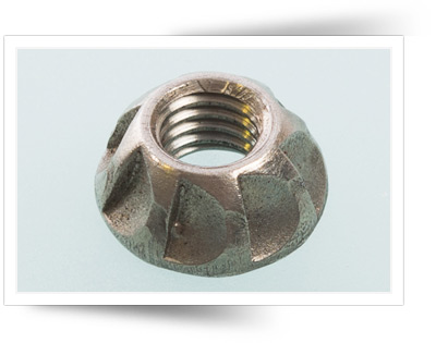 Security Nuts - Integrity Products Ltd.Integrity Products Ltd.