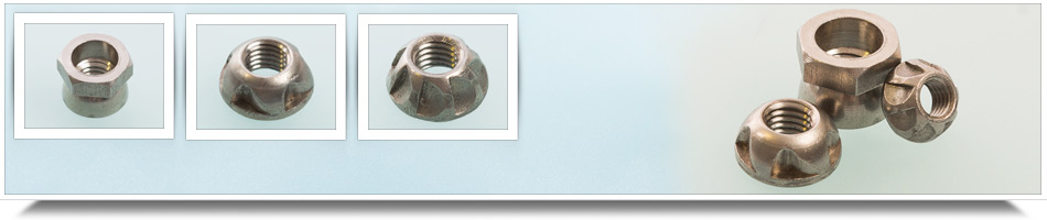 Security Nuts - Integrity Products Ltd.Integrity Products Ltd.