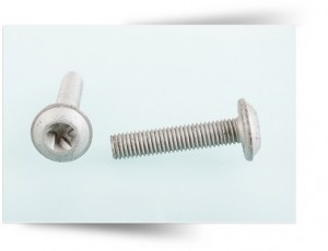 IP5-2 One-Way Security Screw - Integrity Products Ltd.Integrity ...